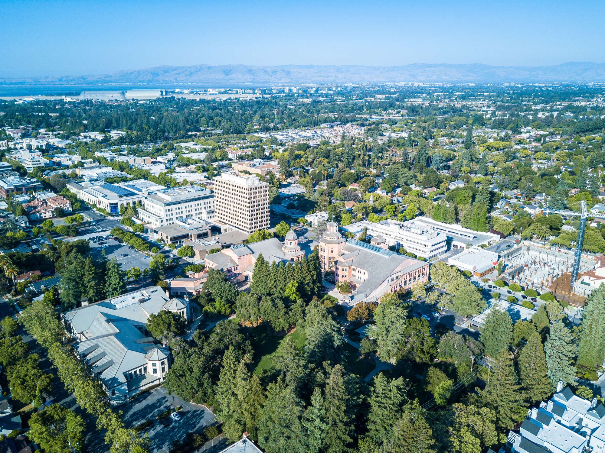 Outreach Complete! | Biodiversity and Urban Forest Plan | Collaborate ...