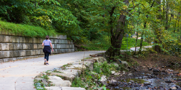 Project Information and Survey Now Available! | Bolin Creek Greenway ...
