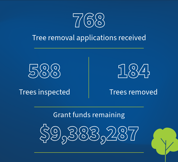 Urban and Community Forestry | Hennepin County