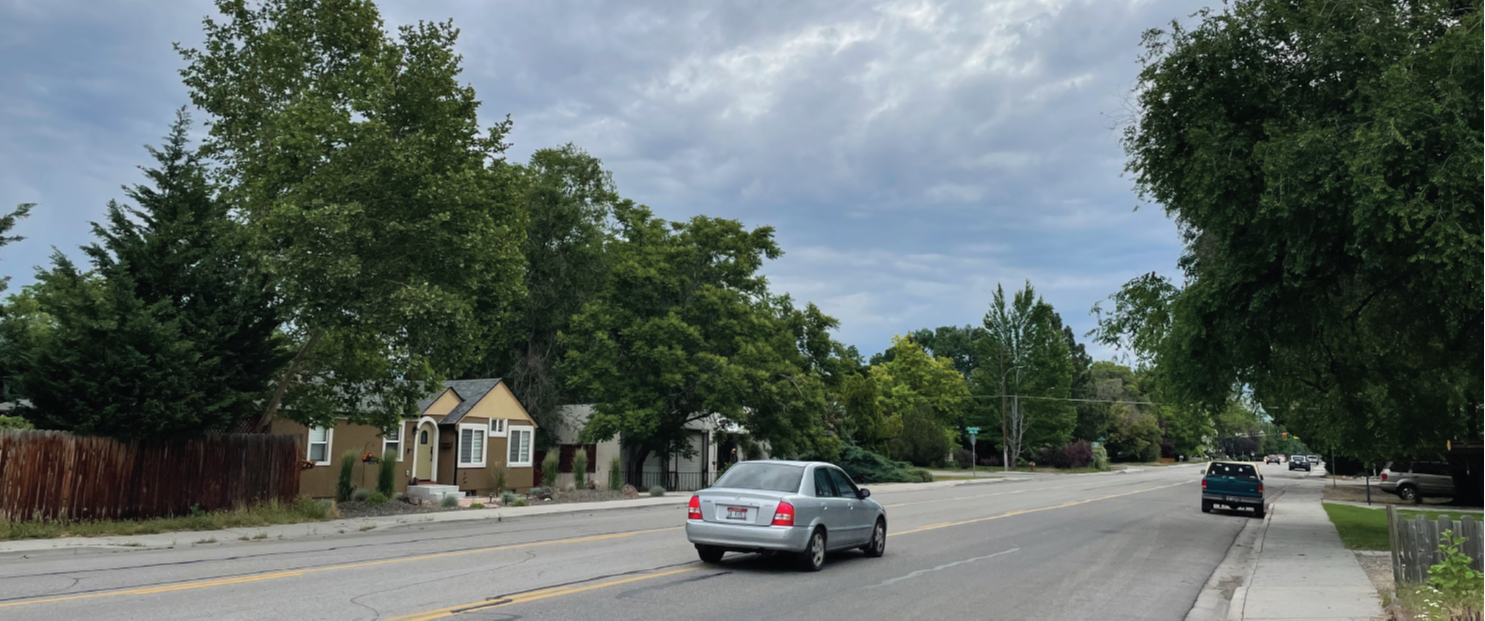 August 30, 2024 | Rose Hill St. Temporary Traffic Calming, Roosevelt St ...