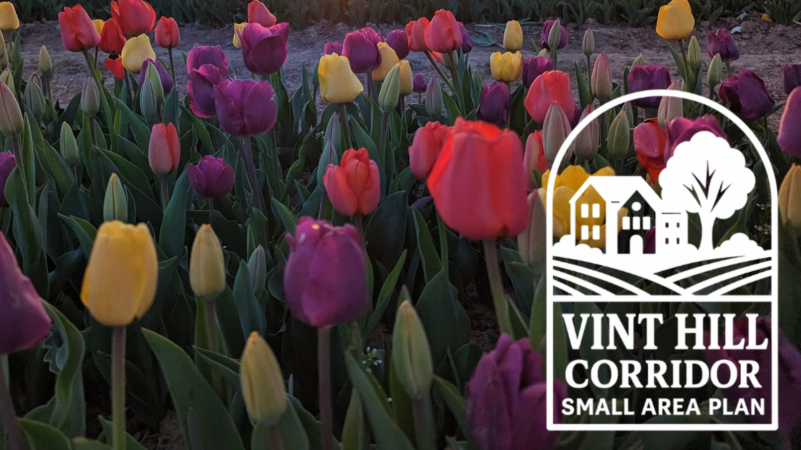 Prince William County Launches Effort to Guide Future Growth in the ...