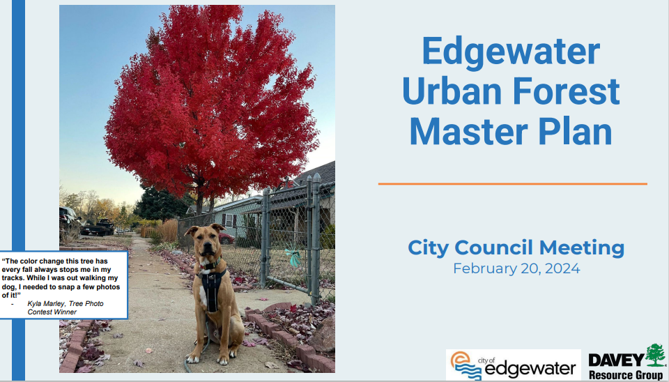 Urban Forest Master Plan | Envision Edgewater