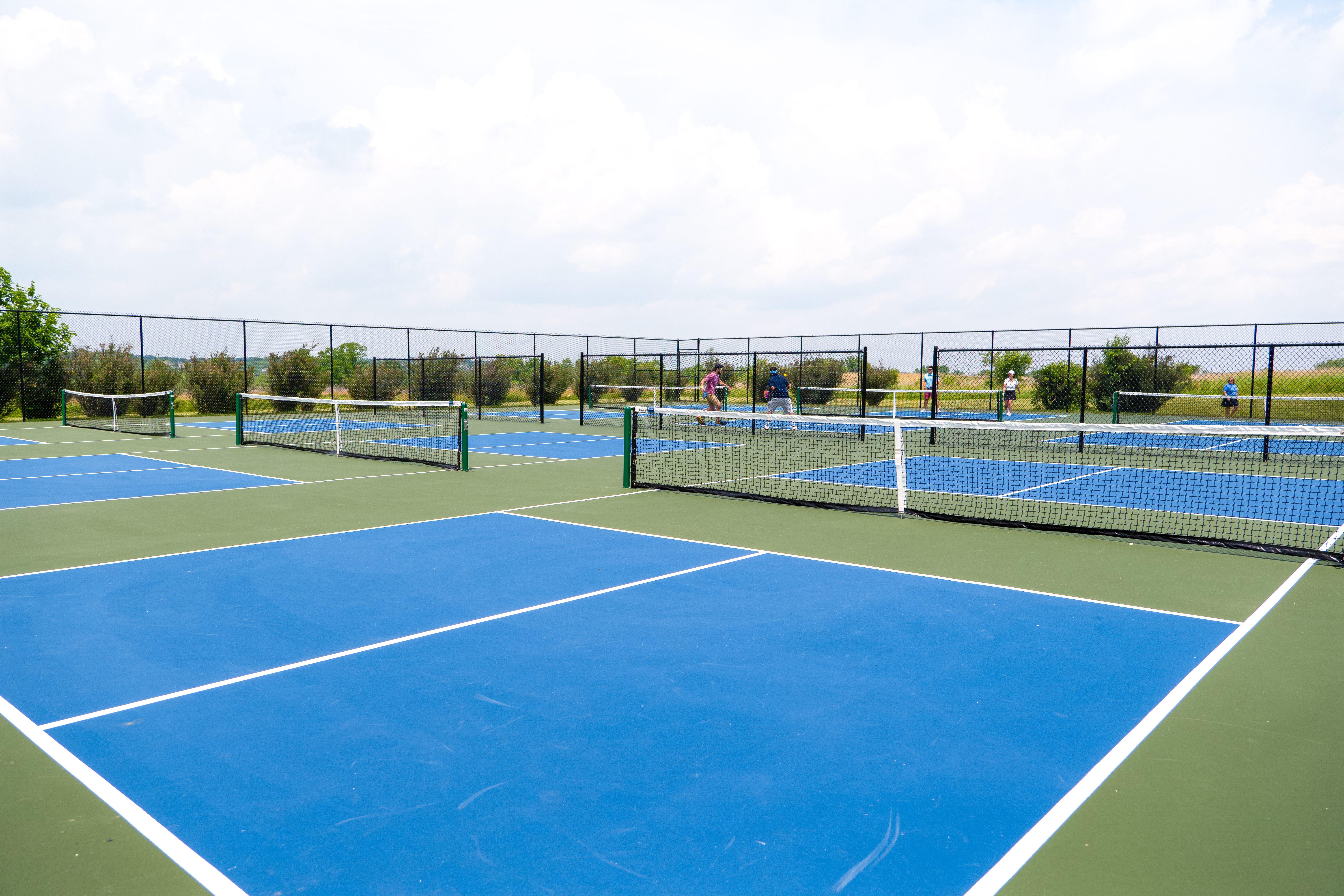 Pickleball Court Requests | Projects | Parks | Milwaukee County