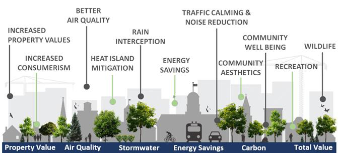 Urban Forest Master Plan | Engage Fairfax