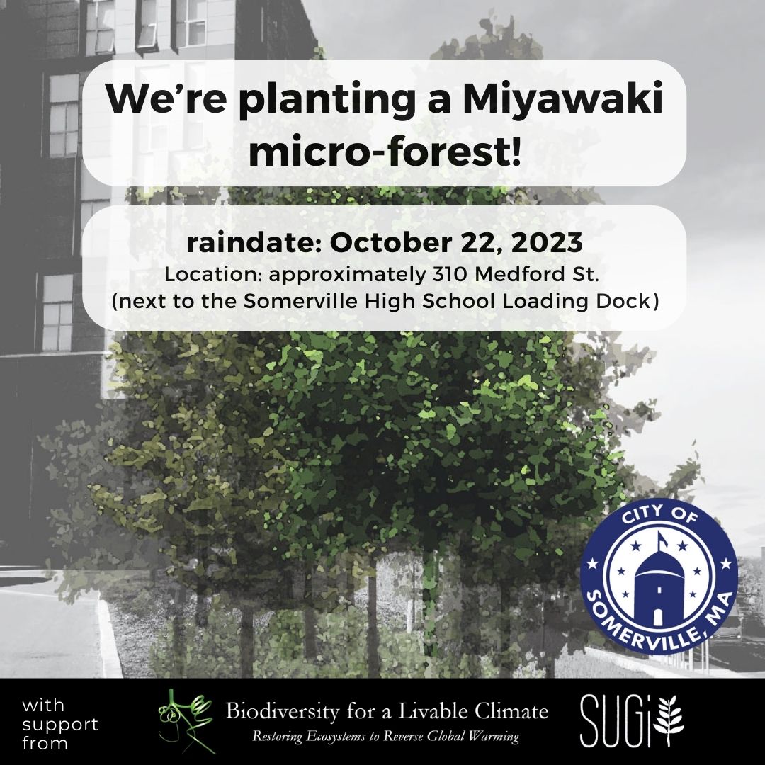 COMPLETED - Open Space and Recreation Plan Update (2025-2035) | SomerVoice