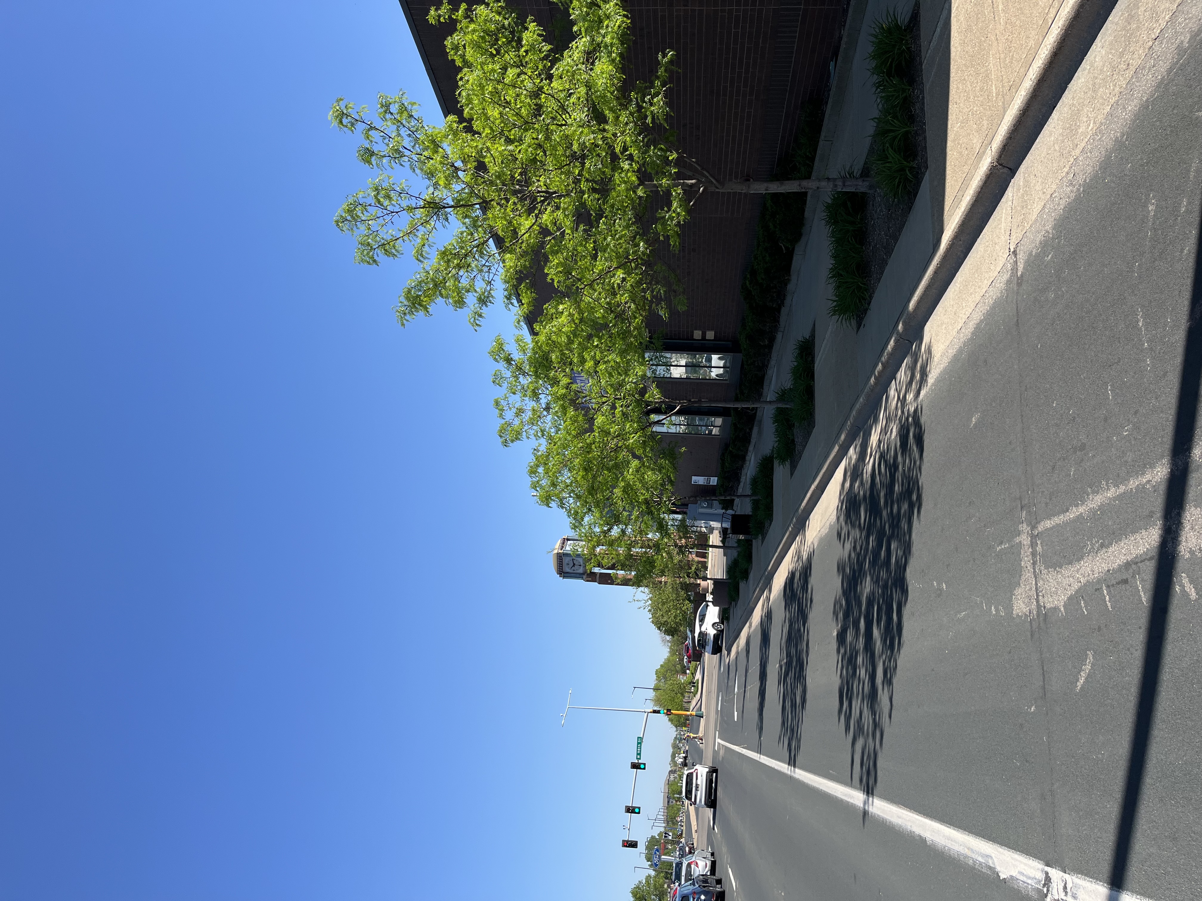Tree Tracking | Urban Forest Master Plan | Let's Talk Bloomington