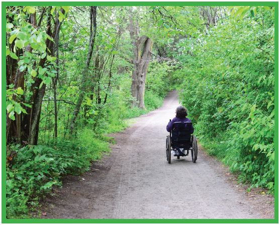 Mill Creek Canyon and Earthworks Park Framework Plan | Engage Kent Parks