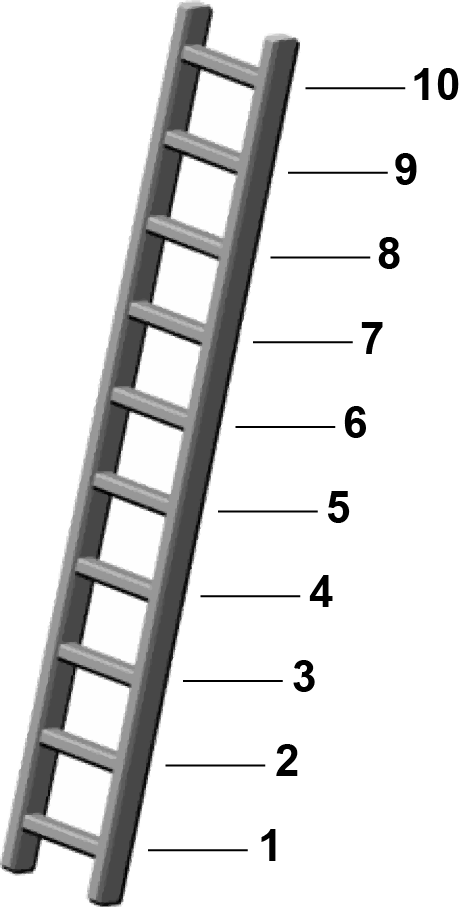 A ladder with 10 rungs