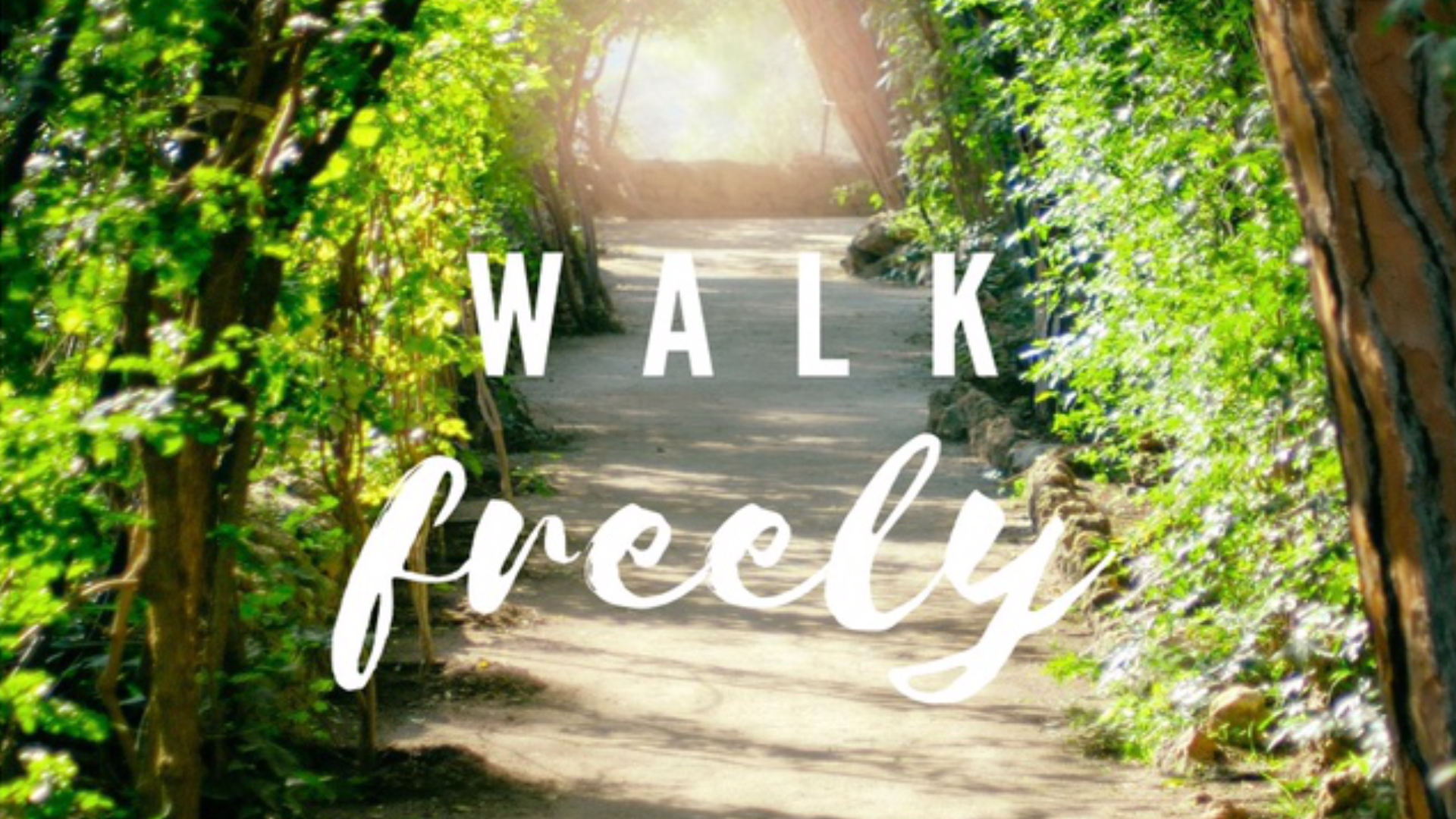 The LifeHouse Ministries | Teachings | Messages | Sermons