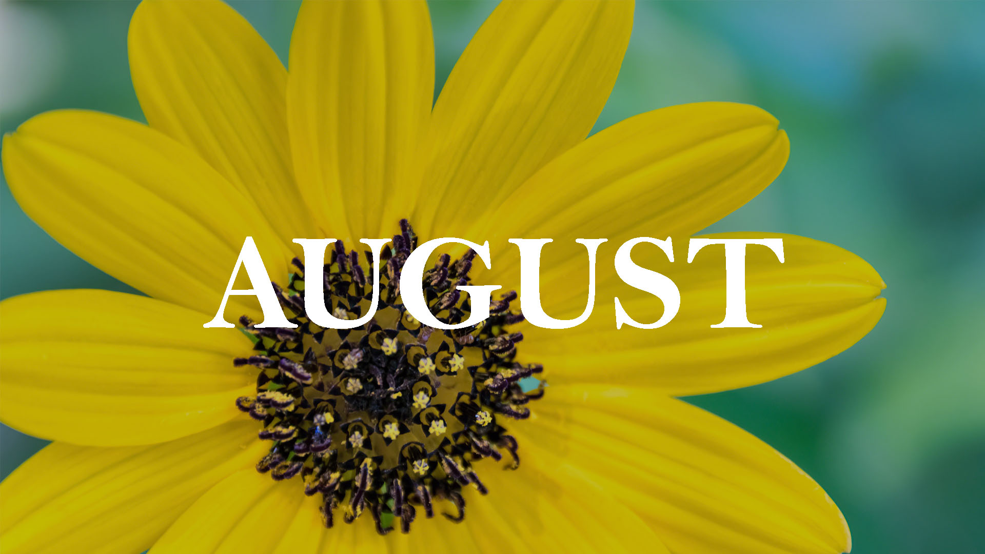 Ascension Church | Teachings | Messages | Sermons