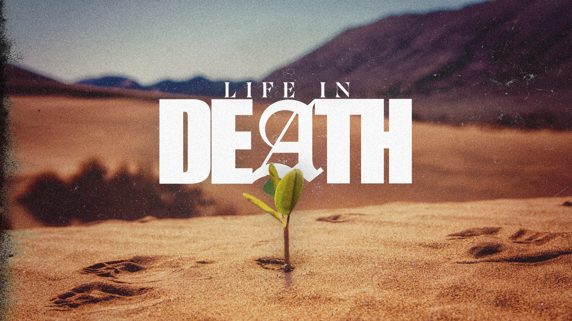 The Creek Fort Worth | Life in Death | Miracle in the Madness
