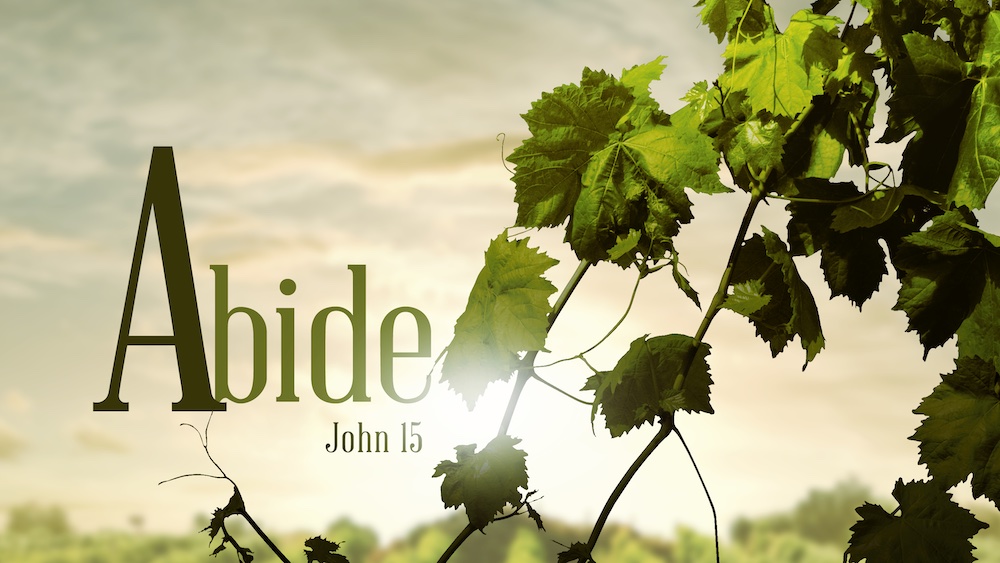 South Park Church | Abide | Celebration Sunday!