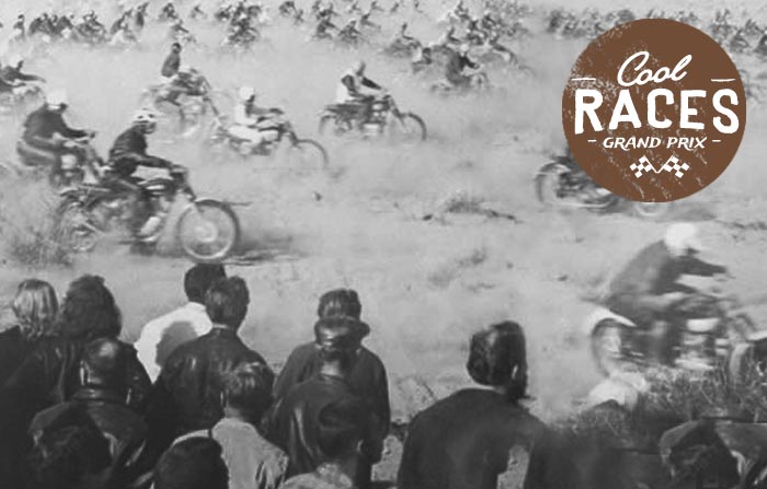 Big Bear Run - Fasthouse