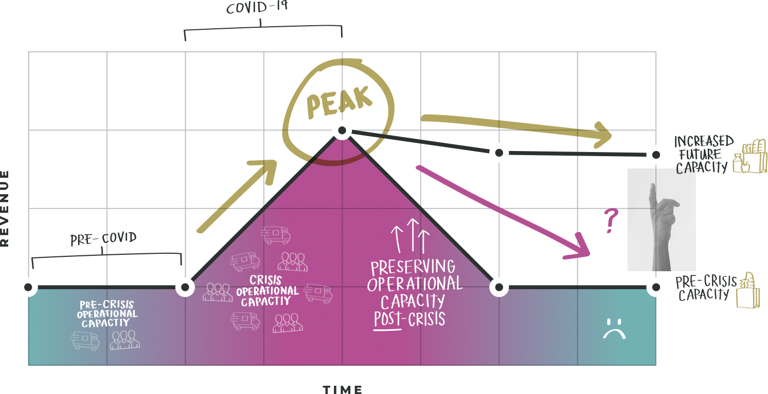 Peaks to Plateaus - Food Assistance Nonprofits Sustaining their Revenue