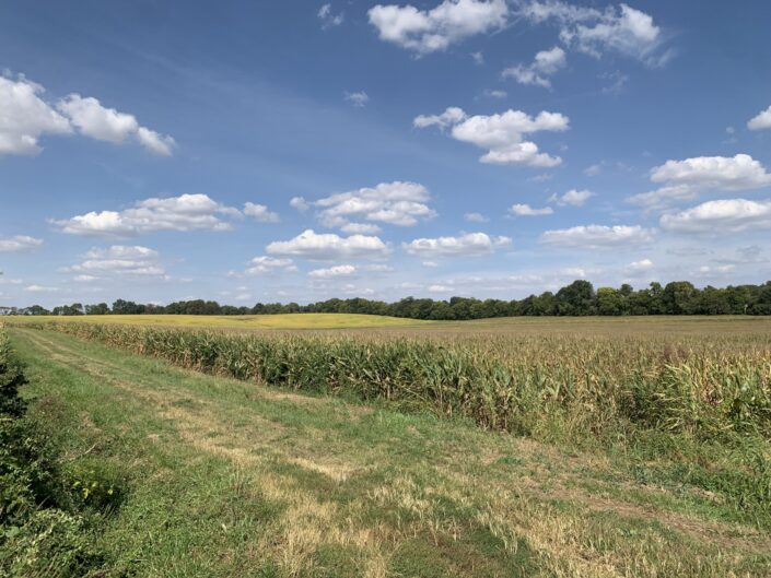 Illinois Farmland for sale