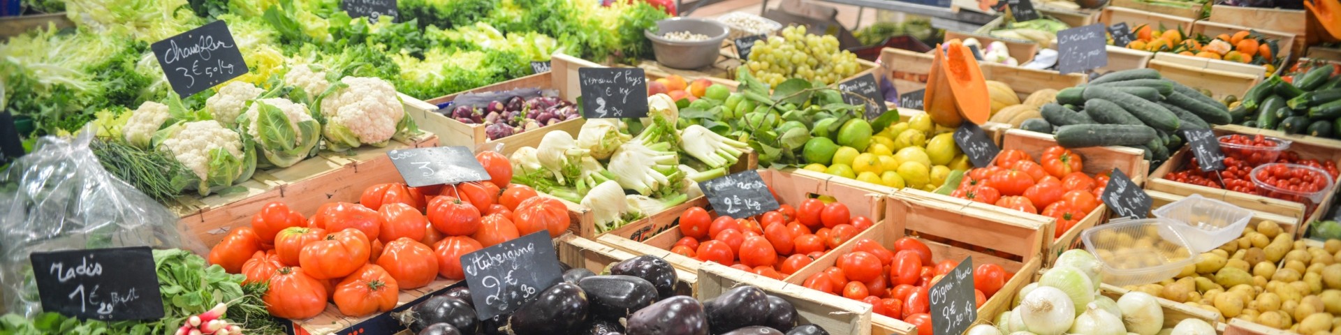 Food Safety Solutions