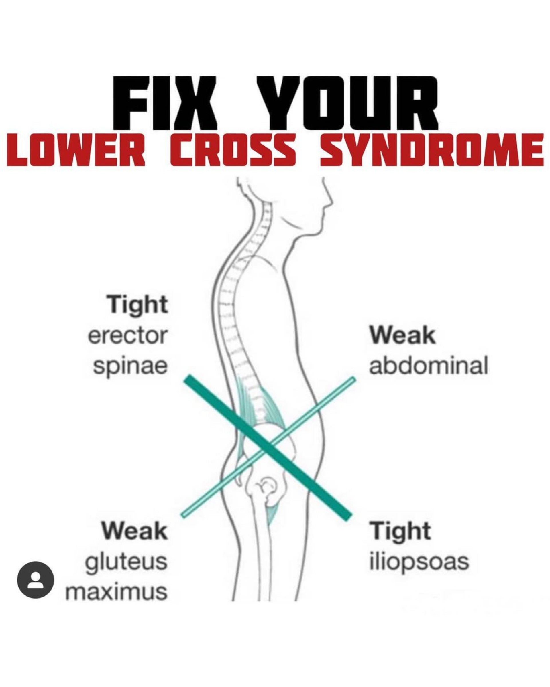 Free Programs | Rehab Hero