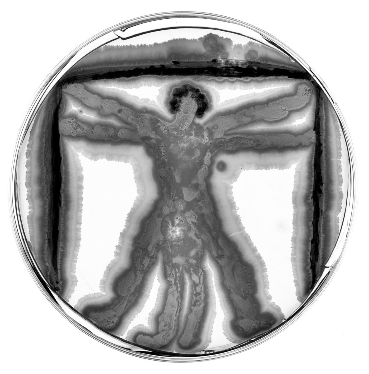 Bacteria Myths – Ben Timpson