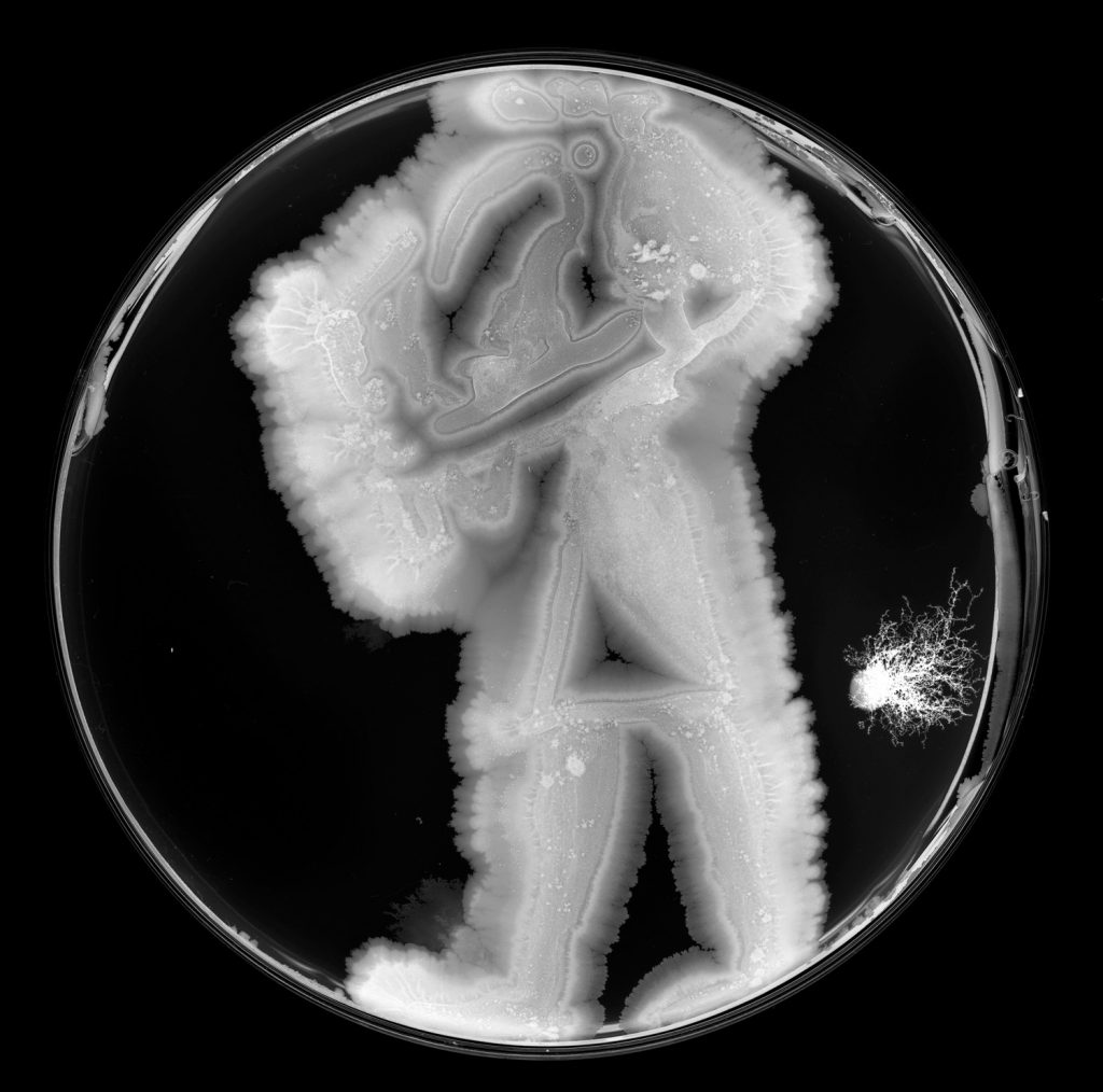 Bacteria Myths – Ben Timpson