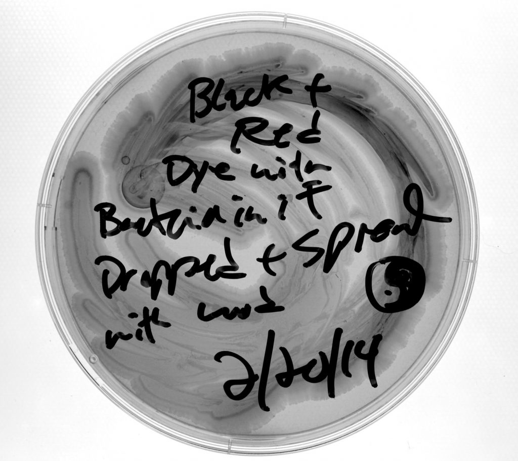 Bacteria Myths – Ben Timpson