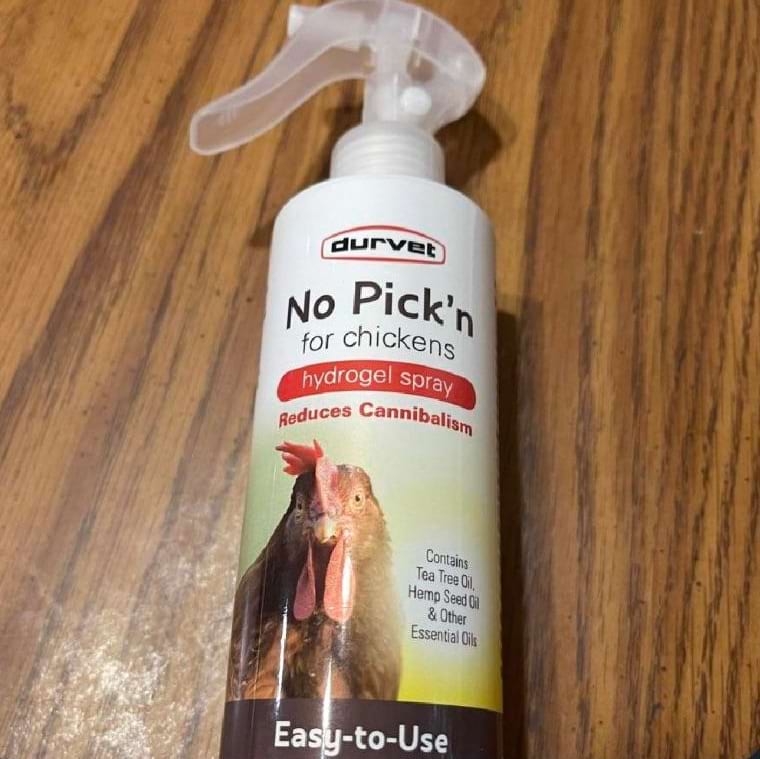 Anti-cannibalism spray for chickens - photo - HomemadeTools.net