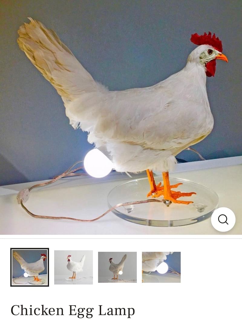 Chicken egg lamp - photo - HomemadeTools.net