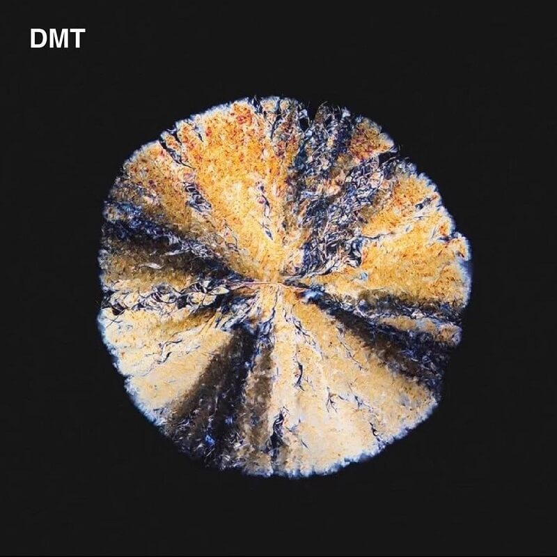 Drugs under microscope - photos