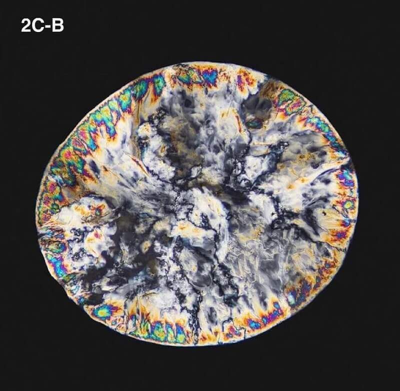 Drugs under microscope - photos