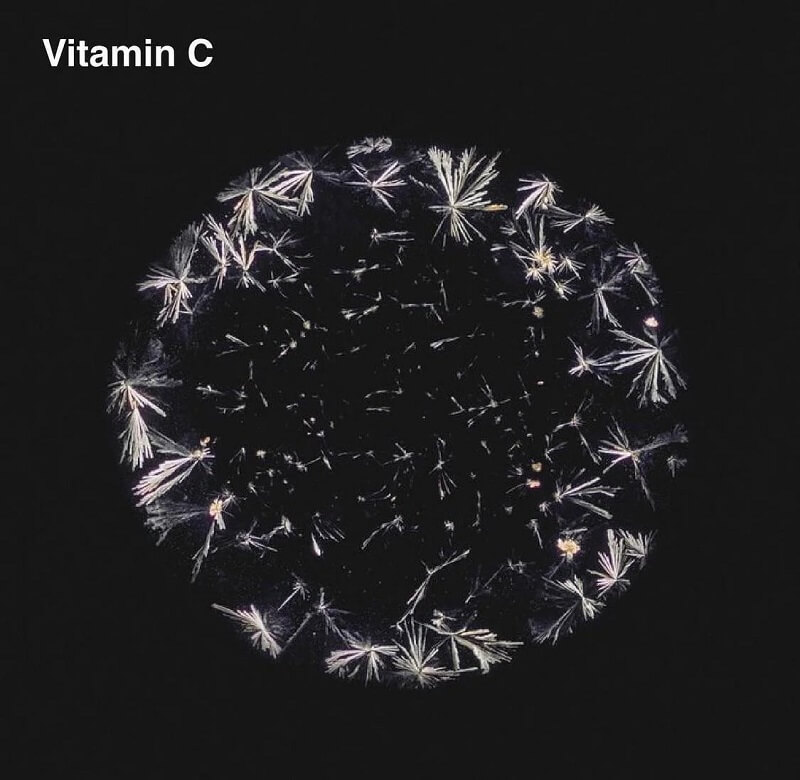 Drugs under microscope - photos