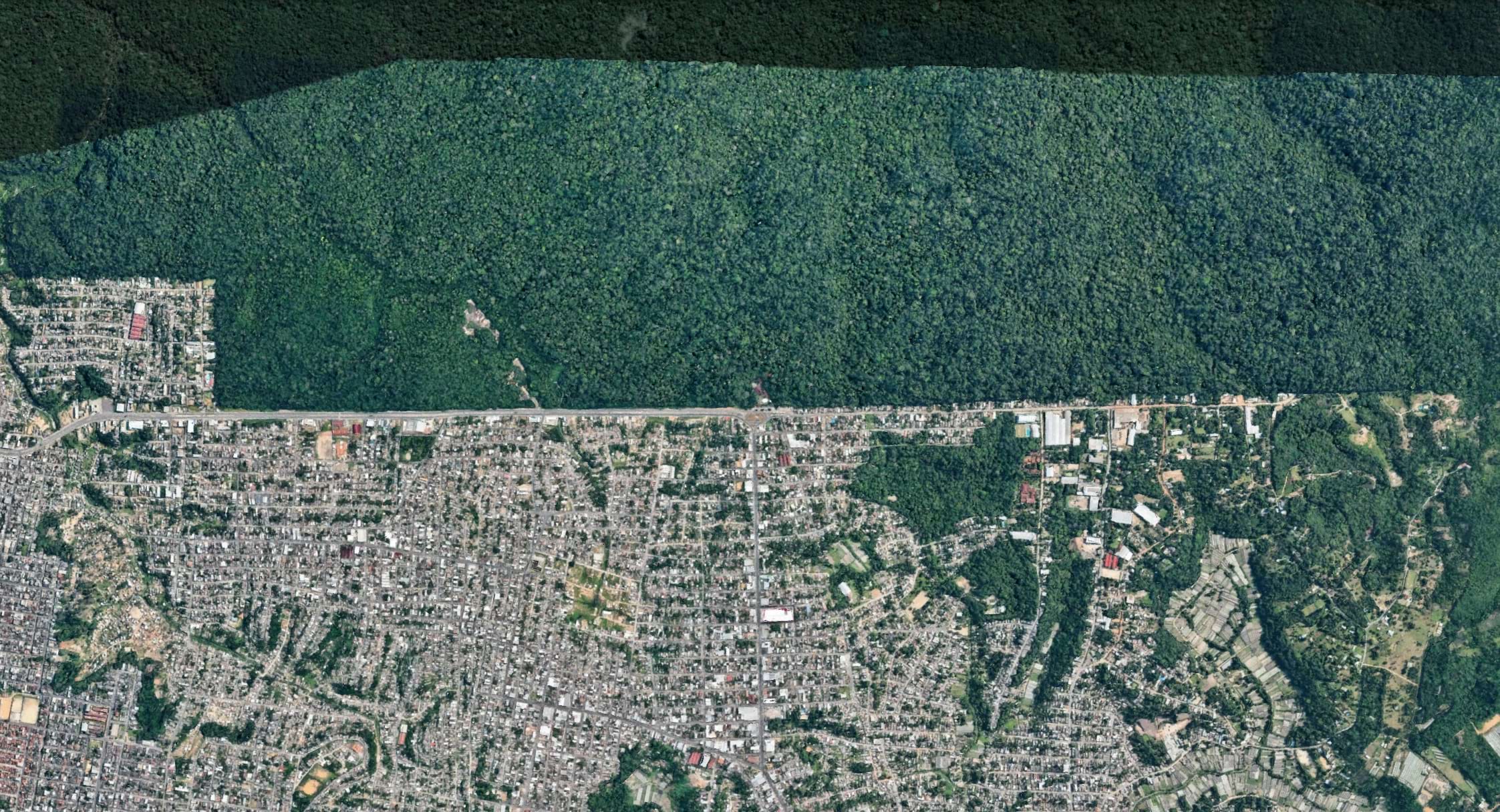 City bordering rainforest - photos - HomemadeTools.net