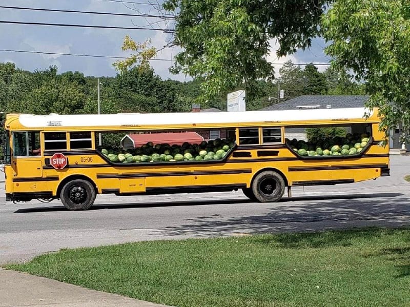 School bus converted to a rolling store - photo - HomemadeTools.net