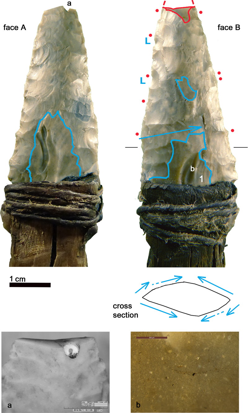 The Tyrolean Iceman's tools - photos and images - HomemadeTools.net