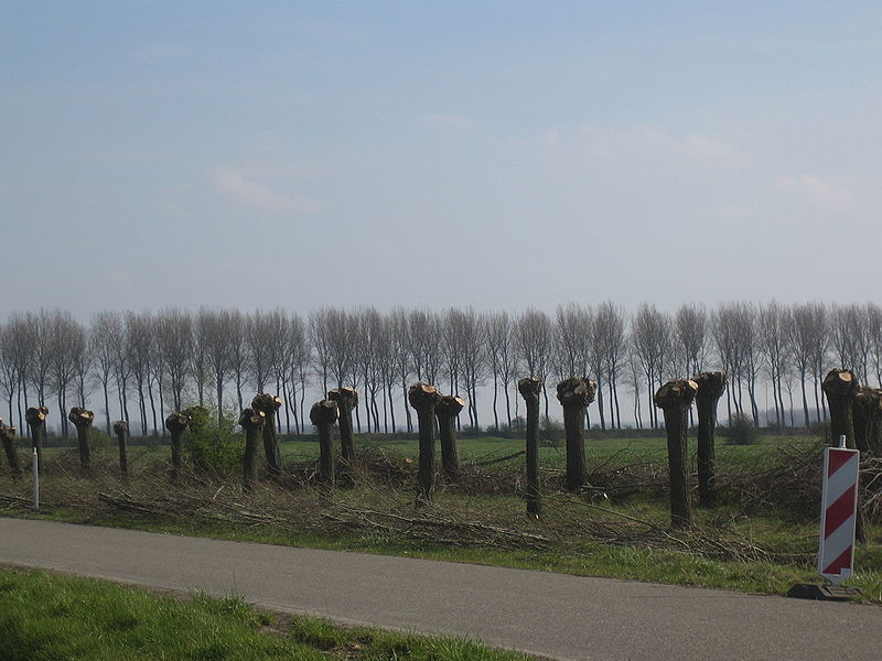 Pollarding machine - GIF - HomemadeTools.net