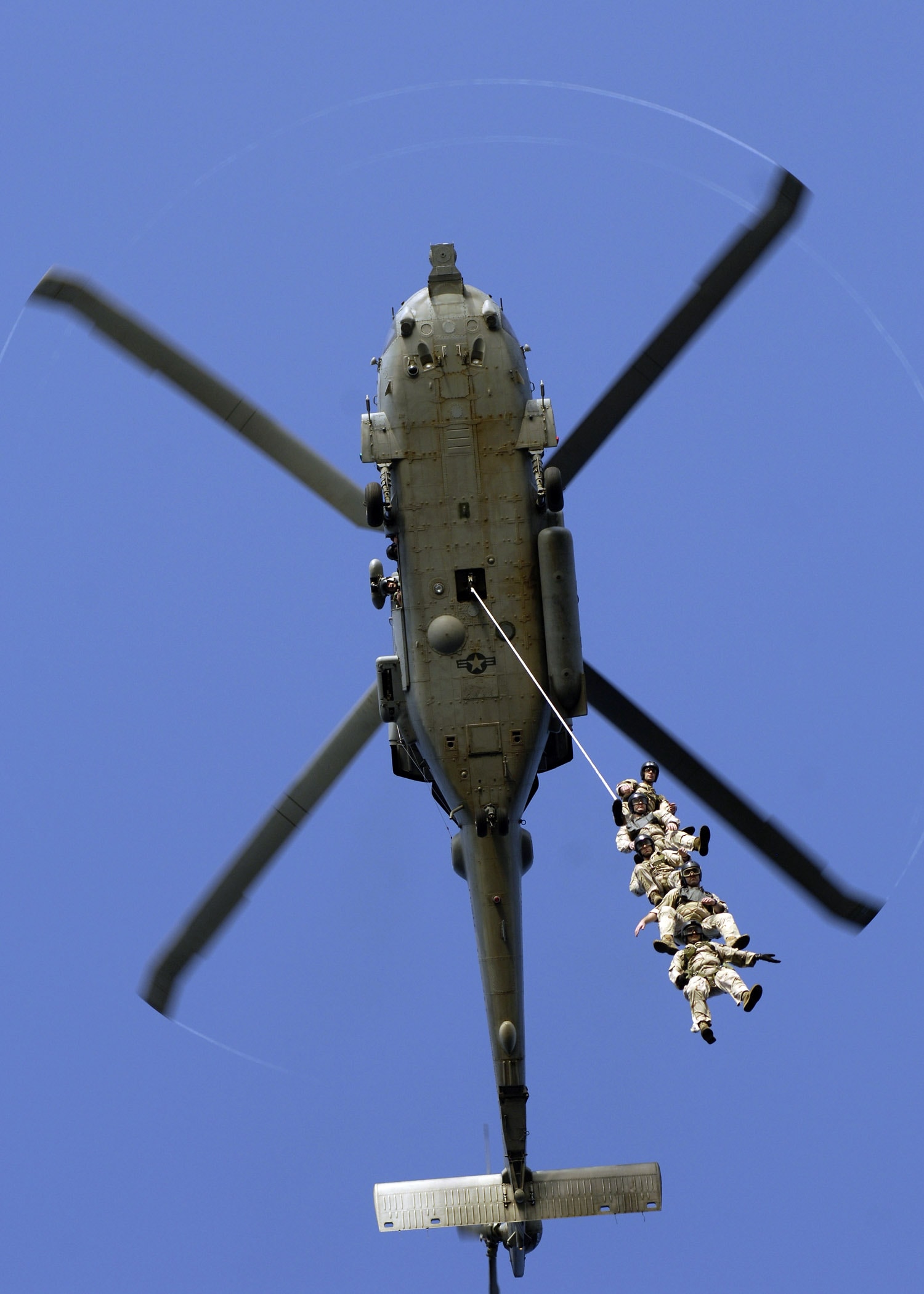 Transporting deer by helicopter - photo - HomemadeTools.net