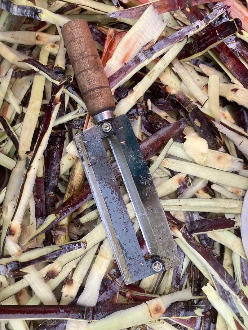 Sugarcane peeler cutter - photo