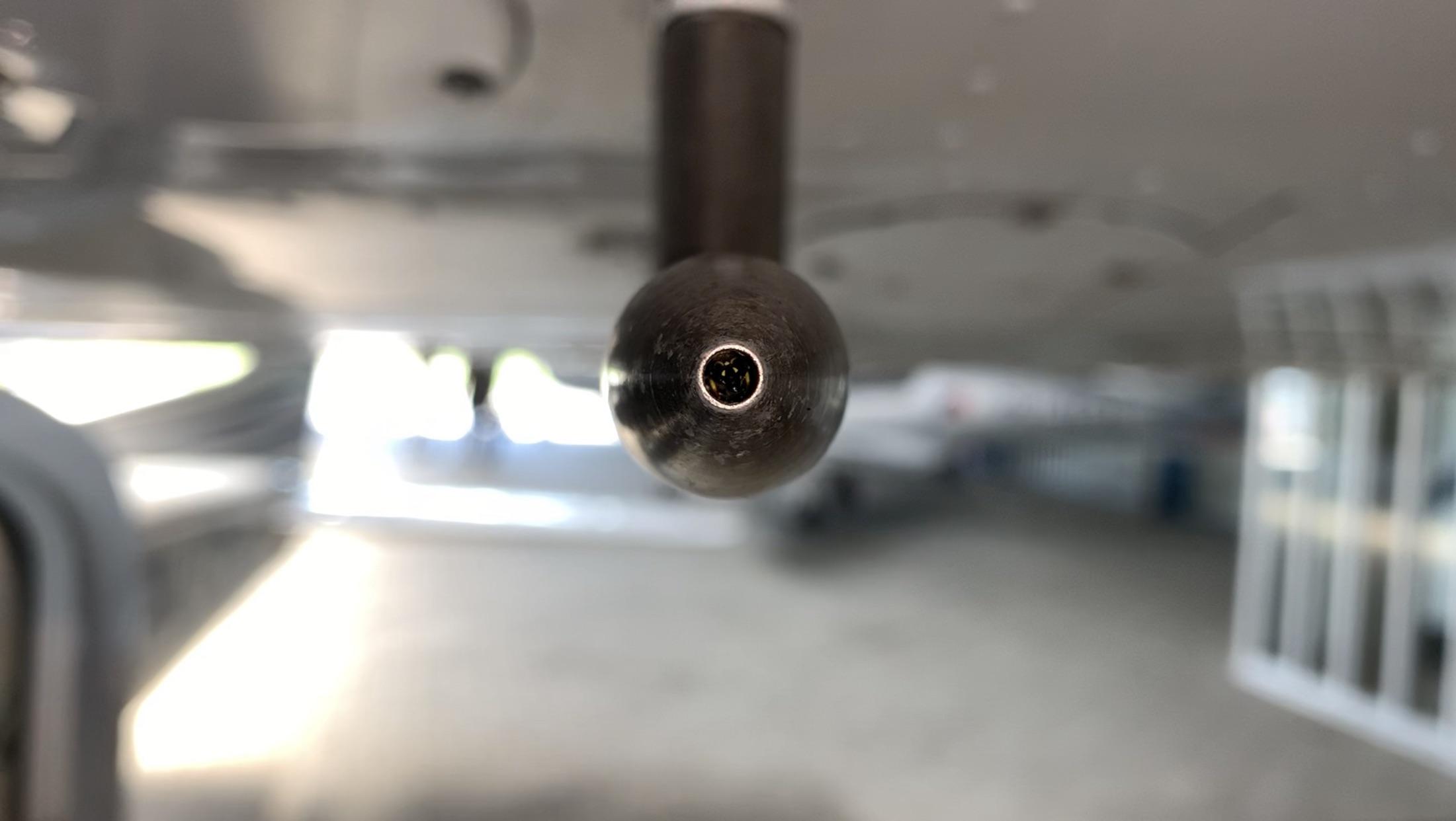 Wasp blocking airplane pitot tube - photo