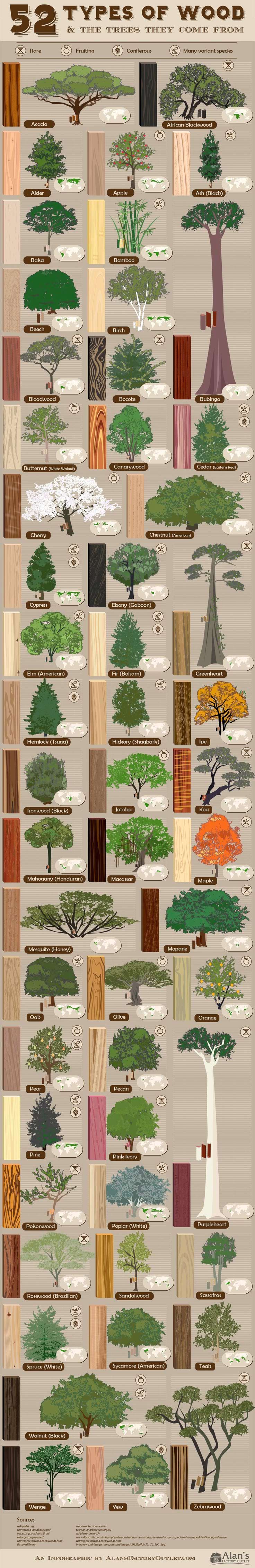 Wood types guide - infographic - HomemadeTools.net