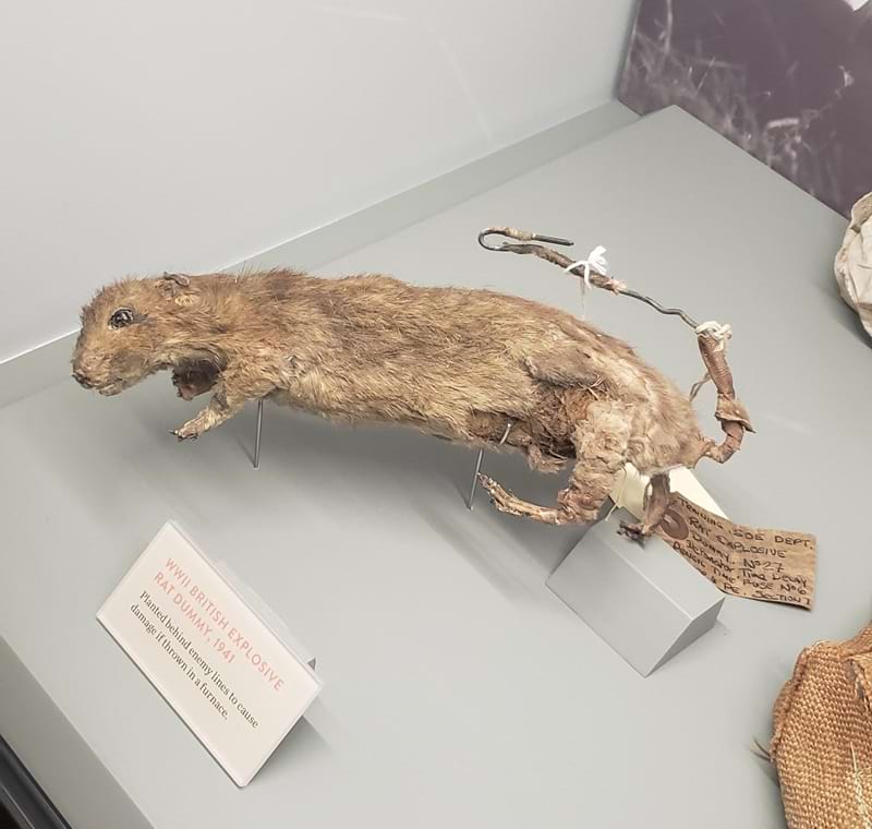 WWII rat bomb - photo - HomemadeTools.net