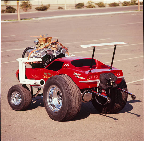 Zinger custom cars - photos - HomemadeTools.net