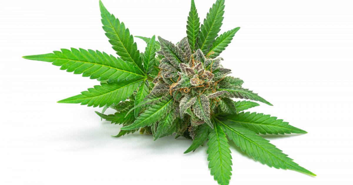 Ohio has approved irritable bowel syndrome (IBS) as a qualifying ...