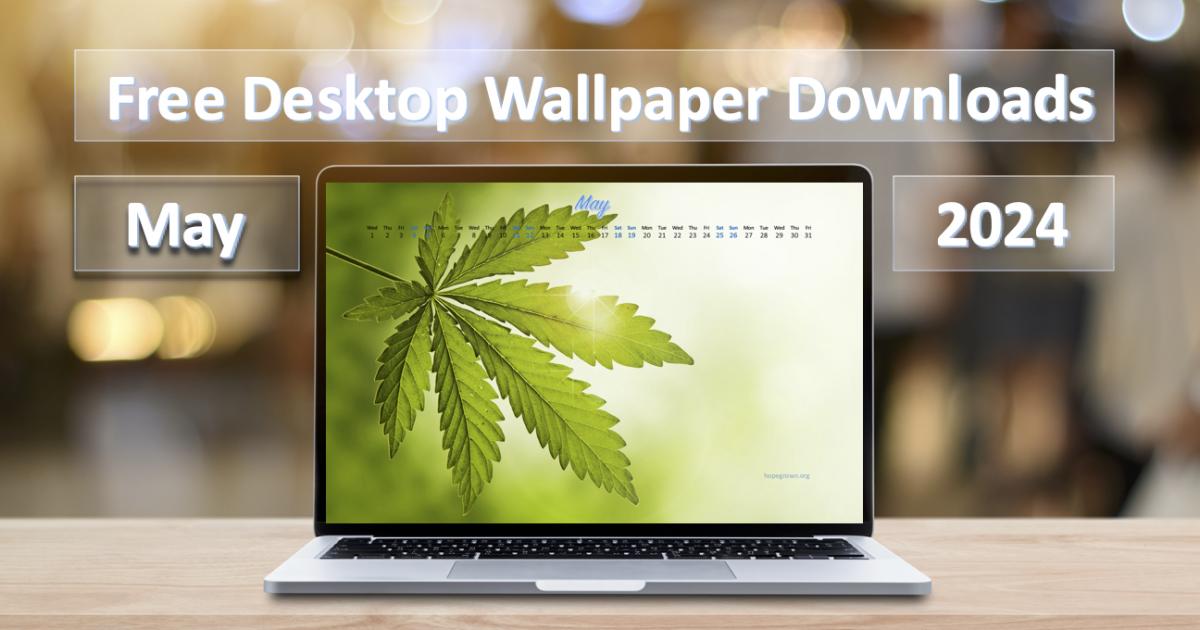 Free, downloadable May 2024 Cannabis-Themed Backgrounds | Hopegrown