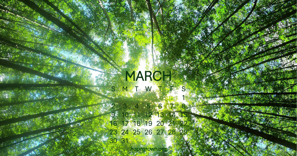 Free March Calendar 2025 - Nature-themed backgrounds | Hopegrown