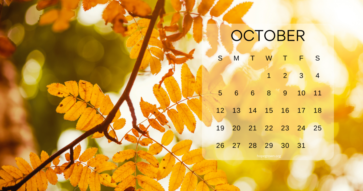 Free Calendar Wallpapers – Nature-Inspired Designs: October 2025 ...