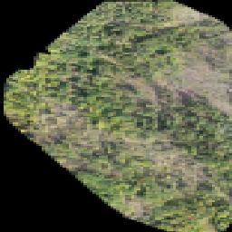 USFS Plot 11/12B on Maps Made Easy