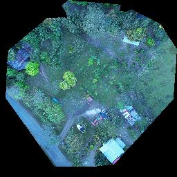 avocado map on Maps Made Easy