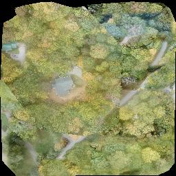 Dalrymple on Maps Made Easy