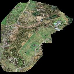 Mccoy on Maps Made Easy