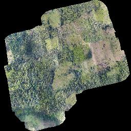 F2 on Maps Made Easy