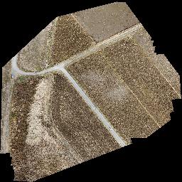 inba paddy on Maps Made Easy