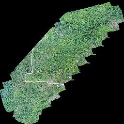 CdM1 ALL 200m 75overlap on Maps Made Easy